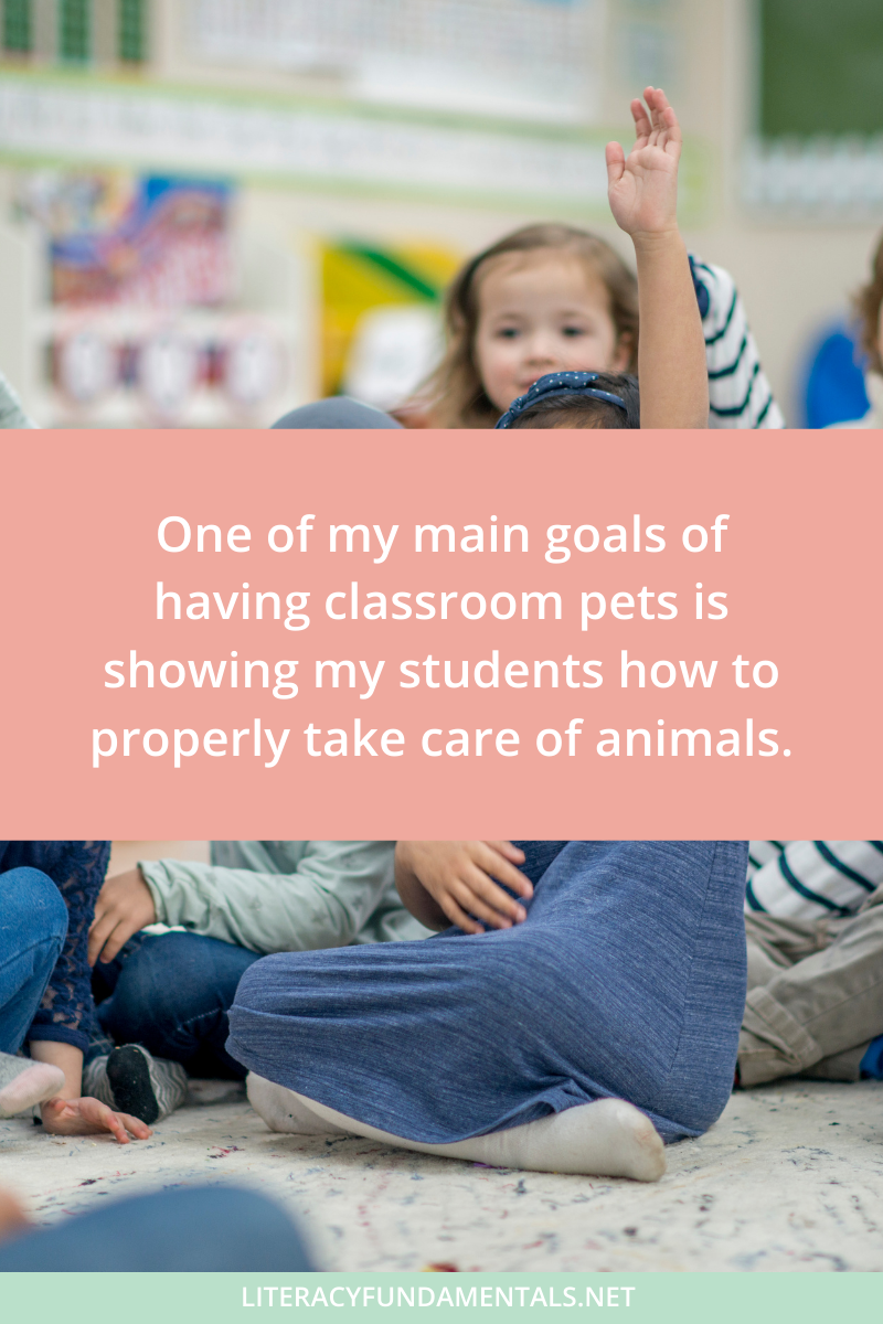 Simple Class Pet Ideas for Elementary Teachers — Literacy Fundamentals