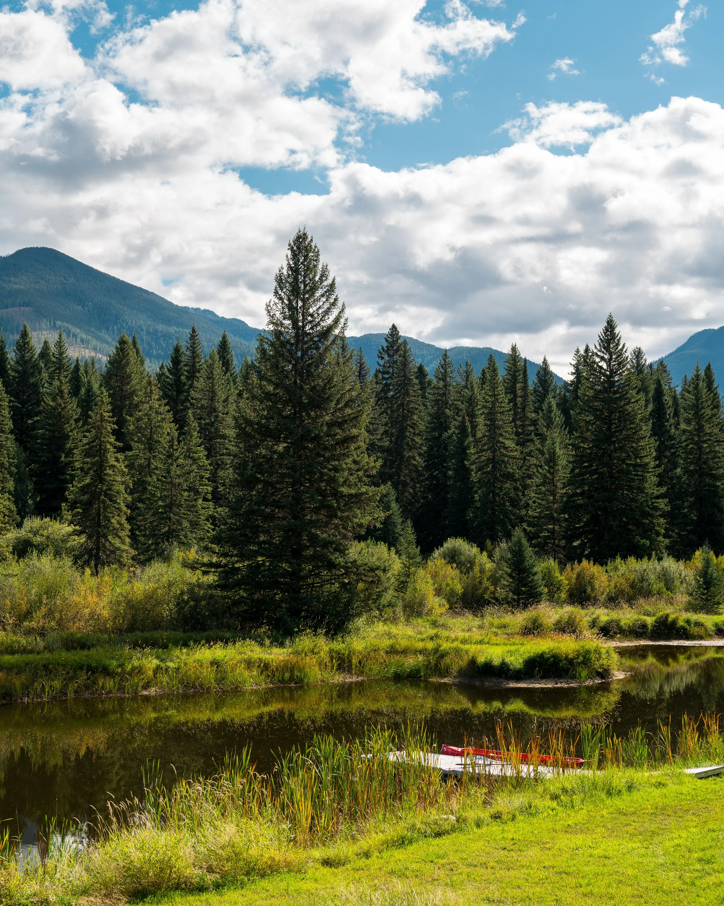 Kalispell Montana Trees Lone Pine State Park (2025) All You Need To