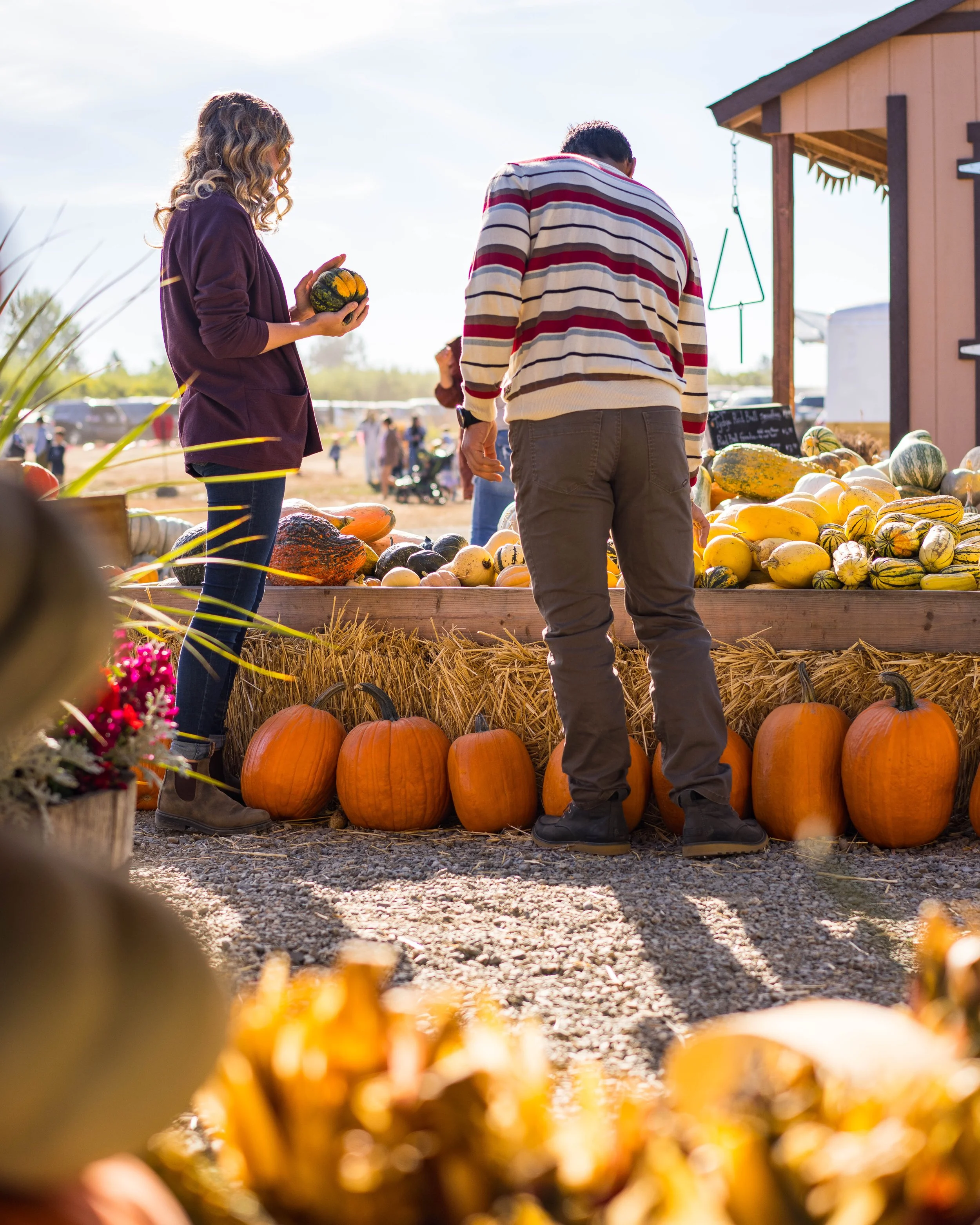 An Adventure Between North & West — The Journal of Lost Time