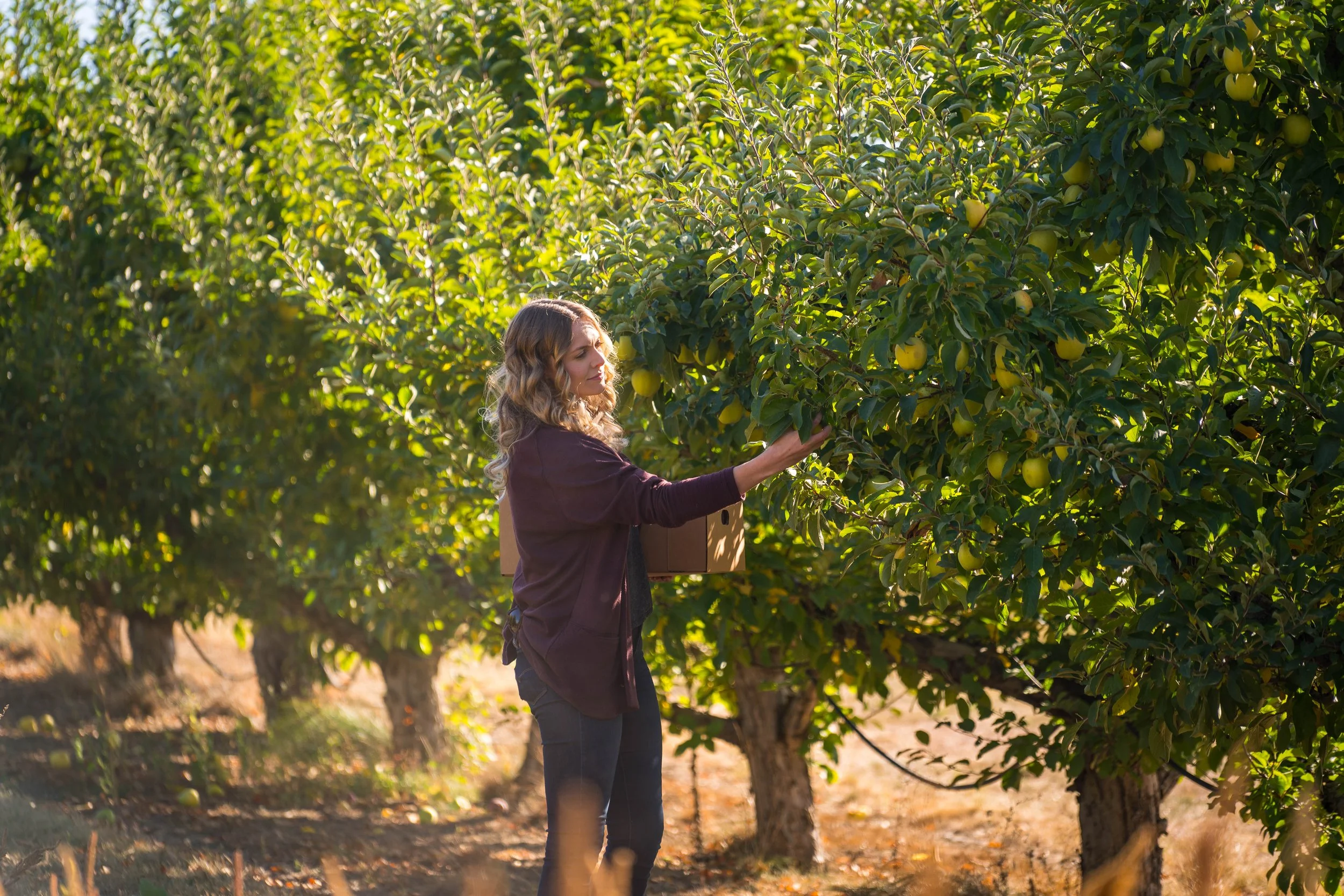 An Adventure Between North & West — The Journal of Lost Time