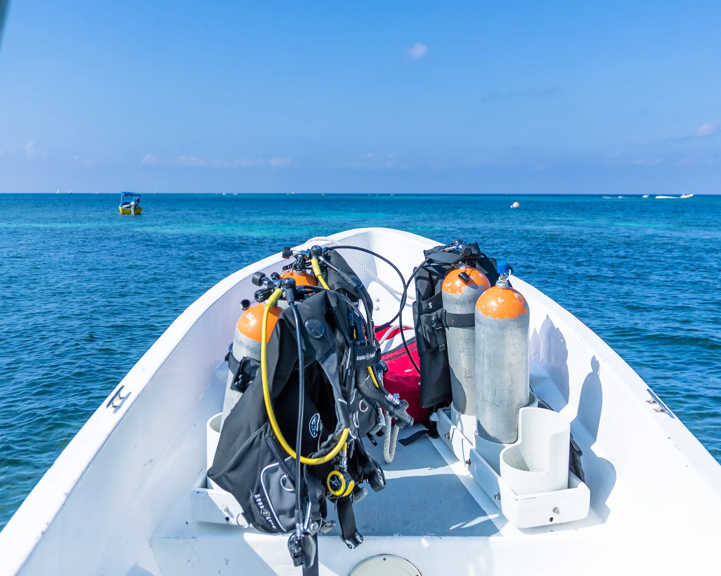 Deep Blue Roatán | The Journal of Lost Time