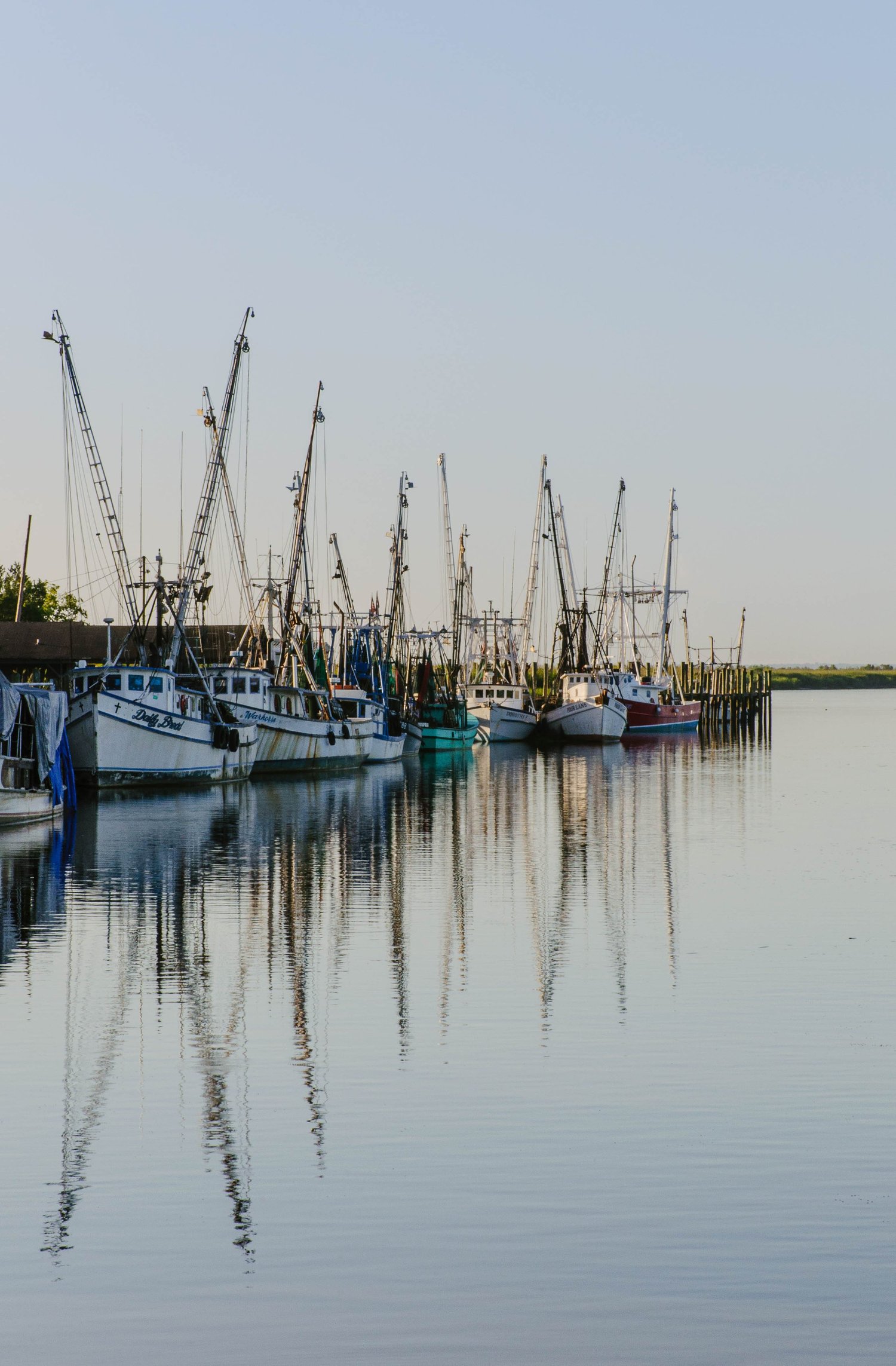 Raised on the River - Shrimping in Darien, Georgia | The Journal of ...