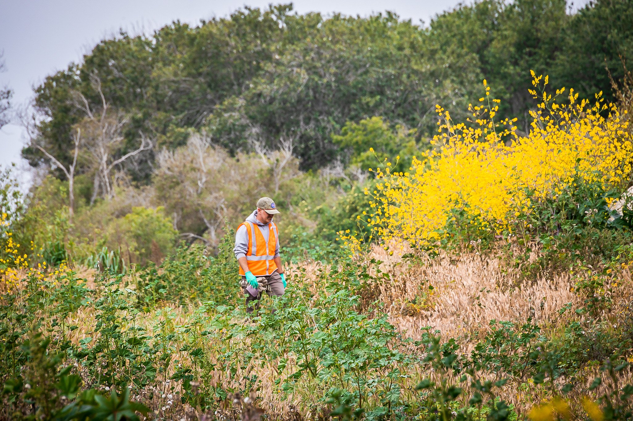 Something Ventured, Something Gained | The Journal of Lost Time
