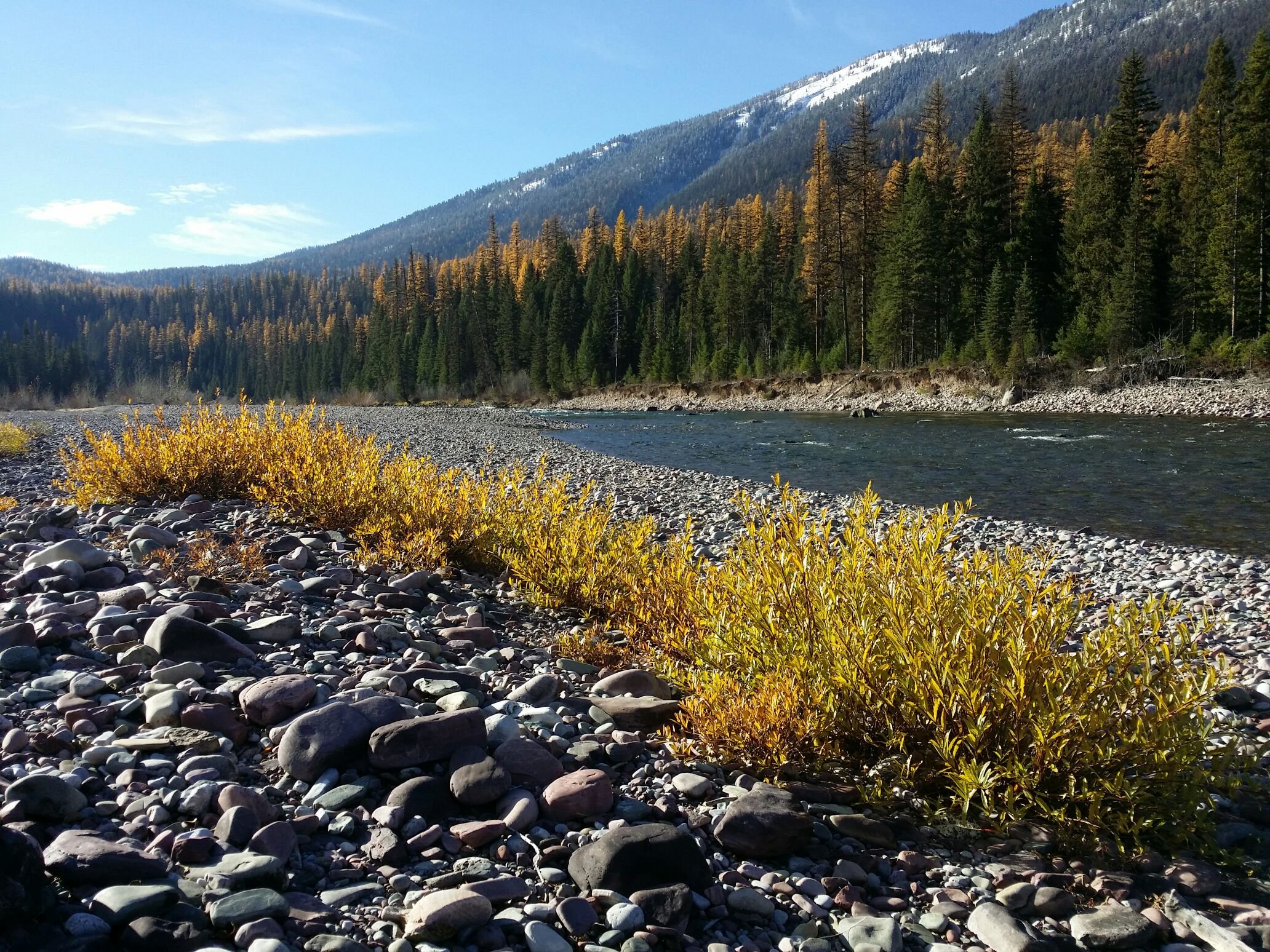 Ashby Bowhunting Foundation