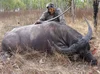 Ashby Bowhunting Foundation