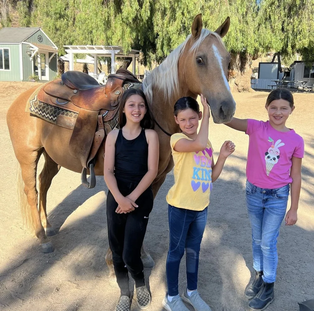 Lessons — Windsor Equestrian Center