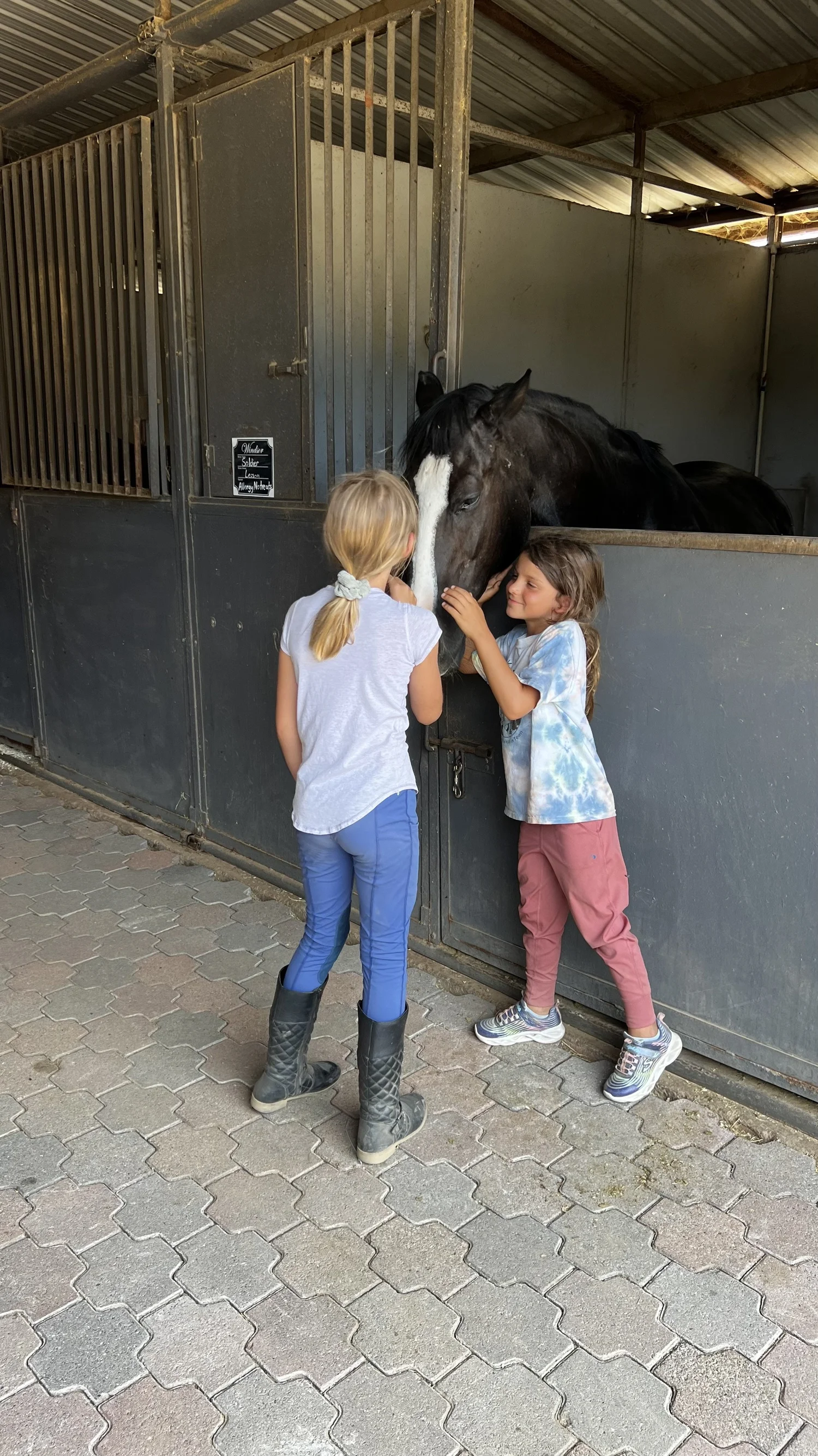Lessons — Windsor Equestrian Center