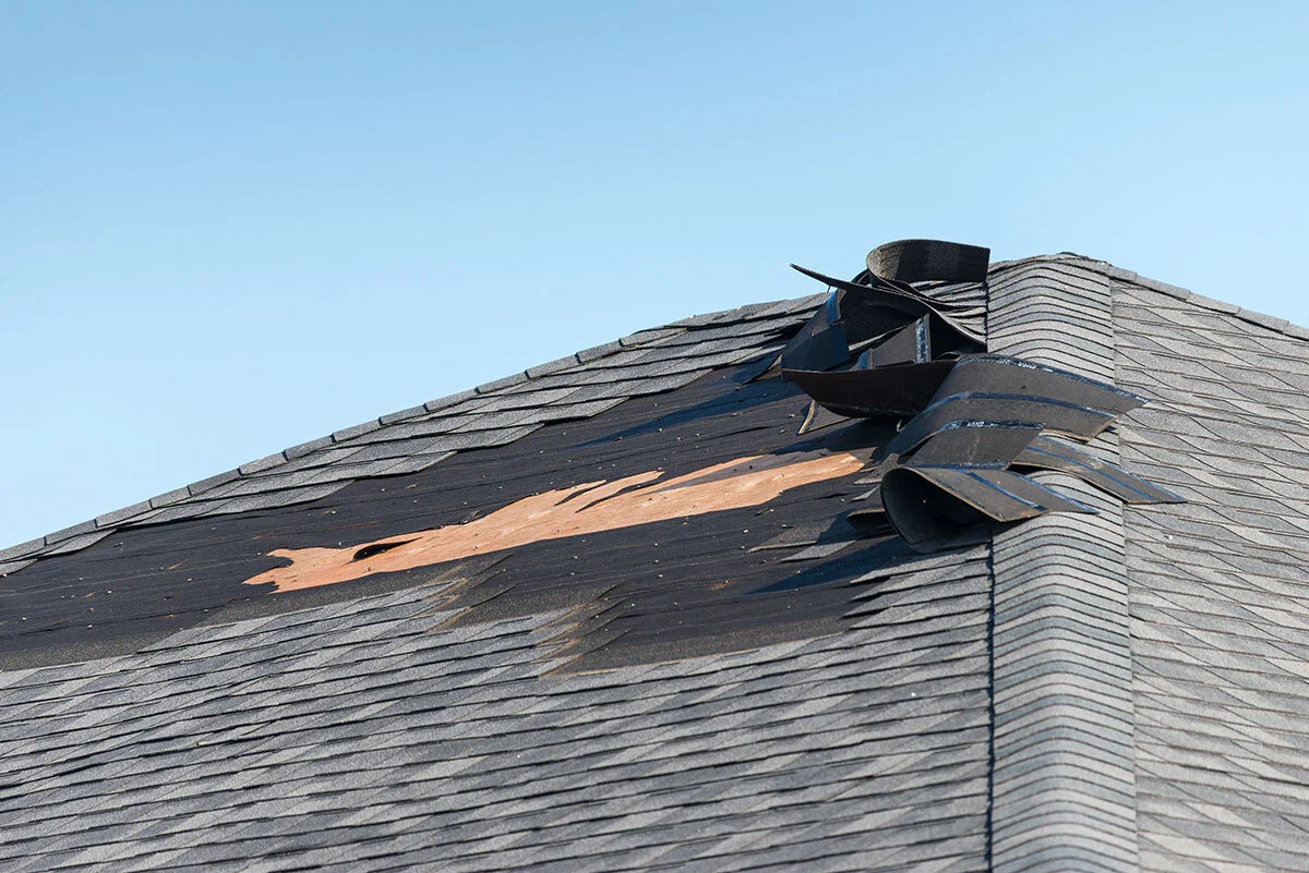Why Replacing Wind-Damaged Shingles is Important | Roof X