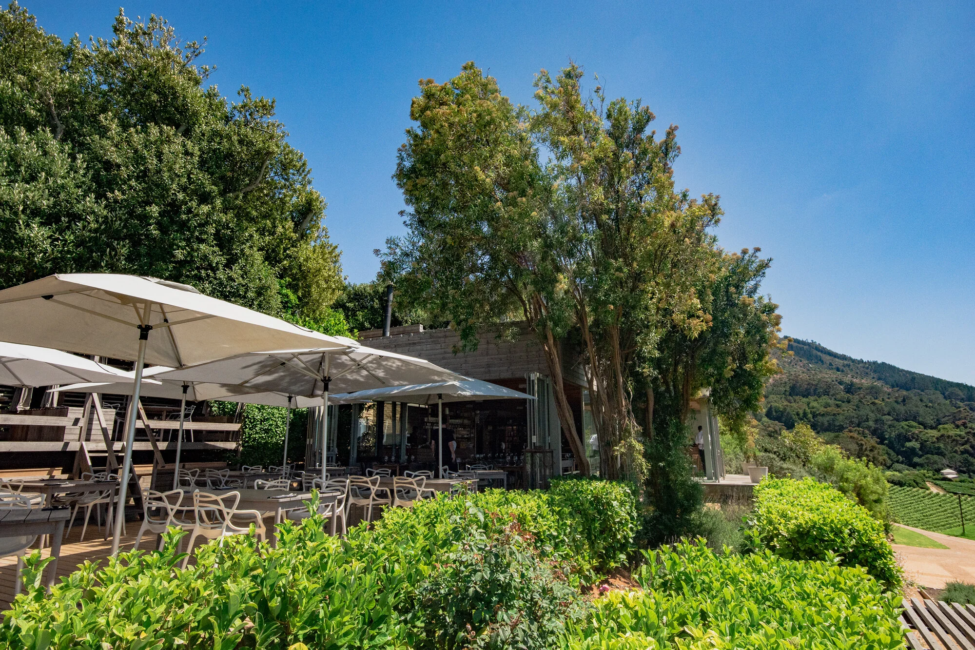 Chefs Warehouse at Beau Constantia — Chefs Warehouse