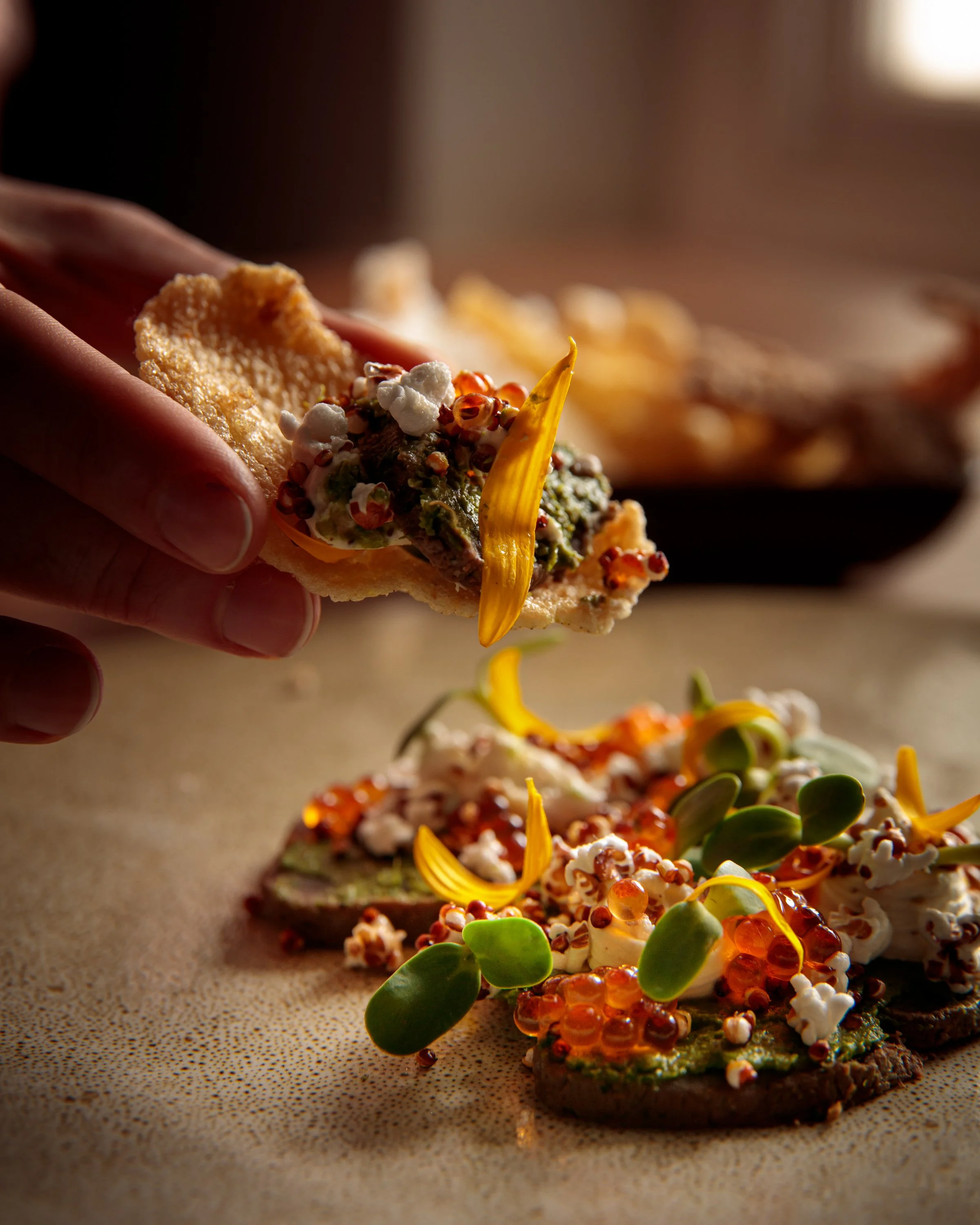 Maison — Chefs Warehouse