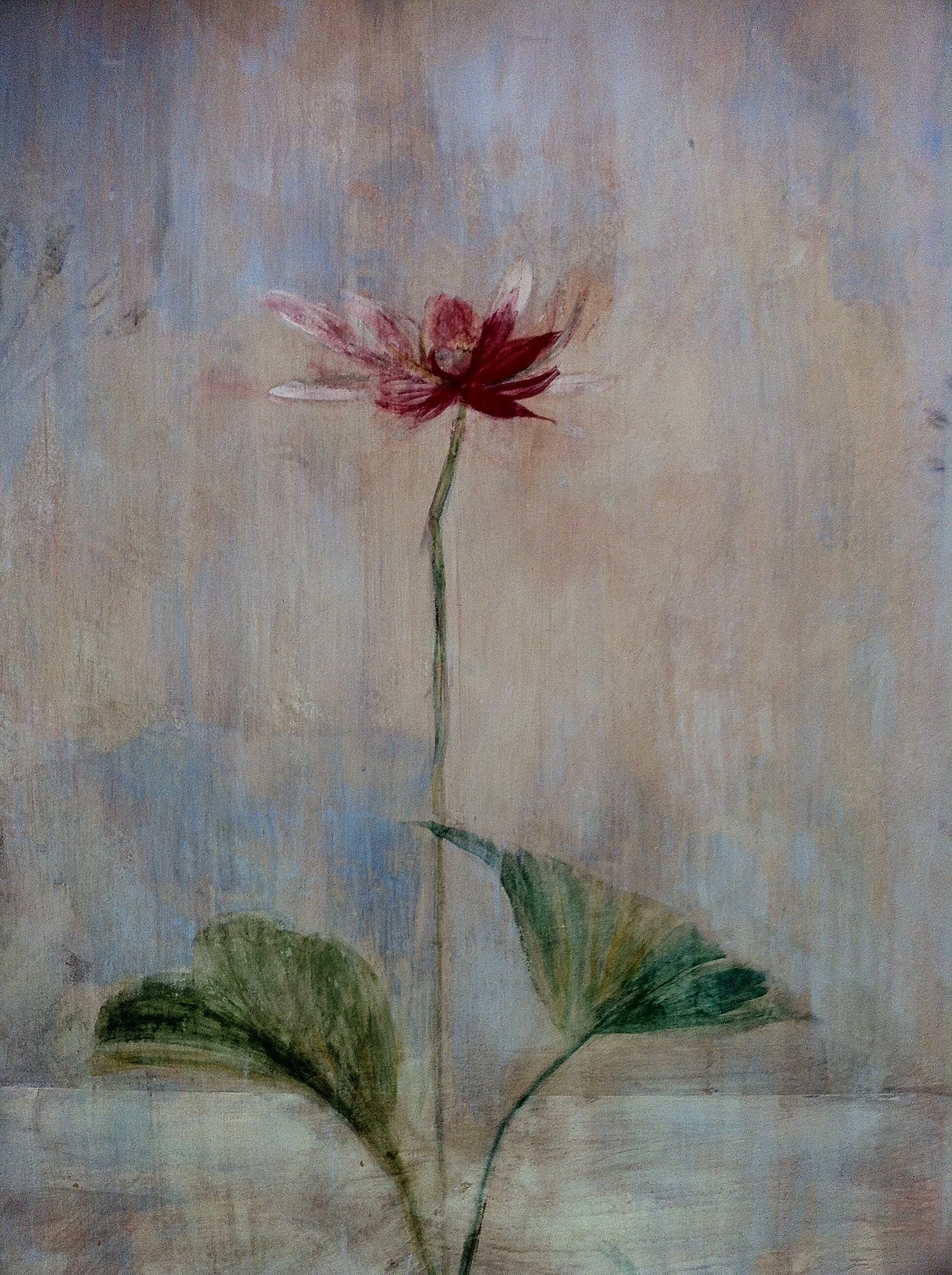 Hidden Portfolio - Judith Luke