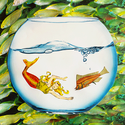 The Deep Practice Walk — Helen Sword