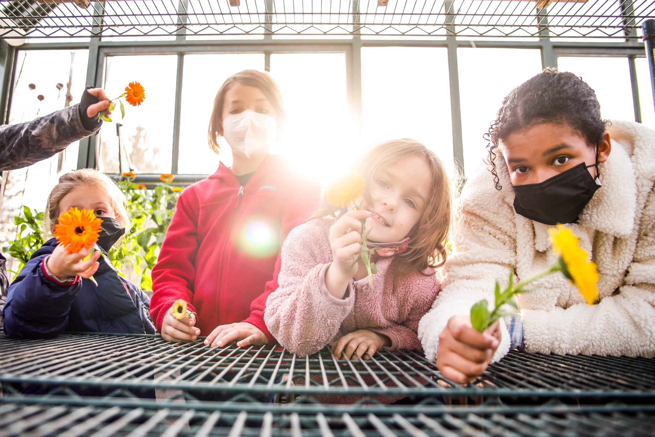 Exploring a Farm — Sprout Up