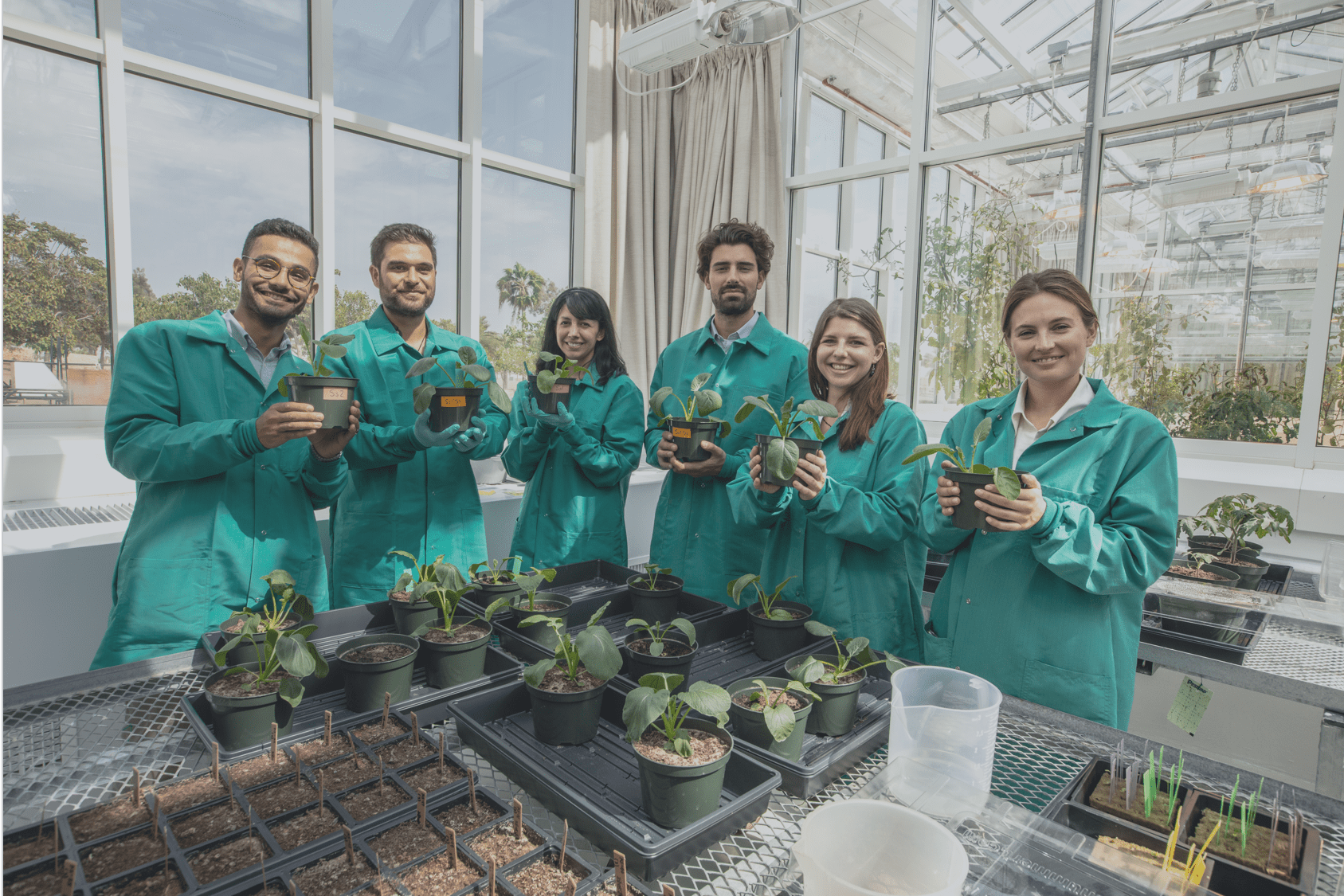 Edama Organic Solutions