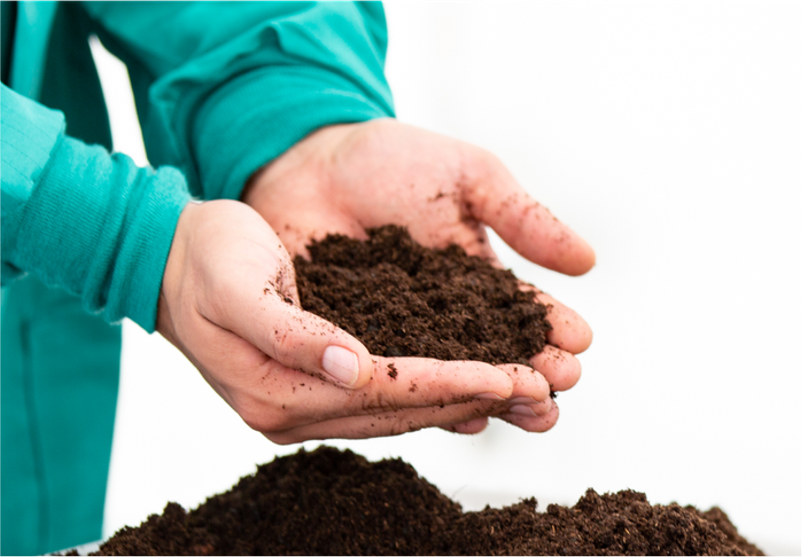 Edama Organic Solutions