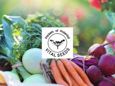The Shop That's Good For The Planet — Every One Of Us