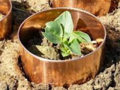 The Shop That's Good For The Planet — Every One Of Us