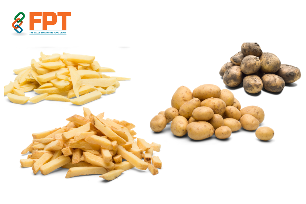 Potato Processing & its Type | Design | Uses- Kiron Food Processing ...