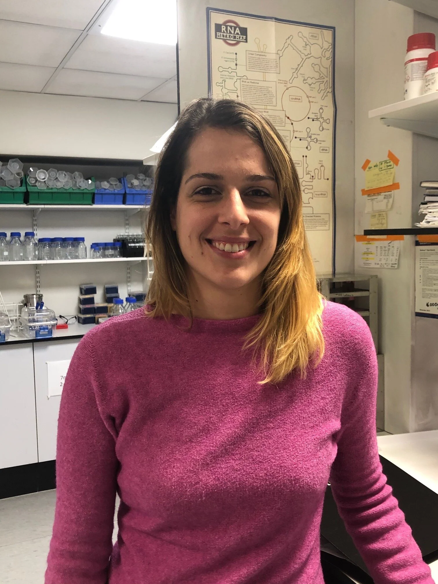 Meet the team — stojic laboratory