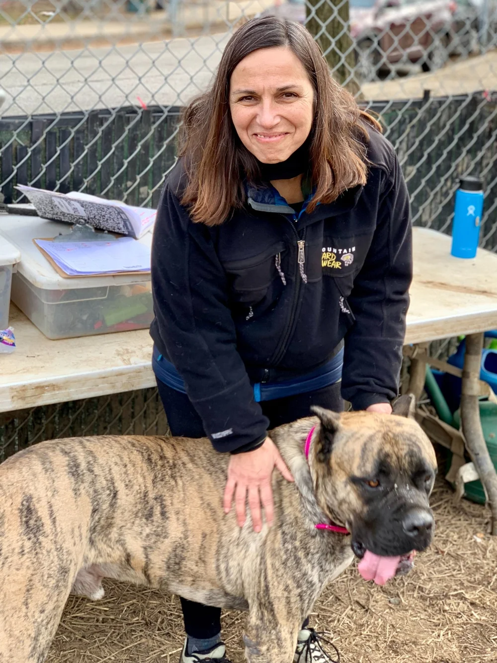 Meet Our Certified Harford County, MD Based Dog Trainers — Polite ...