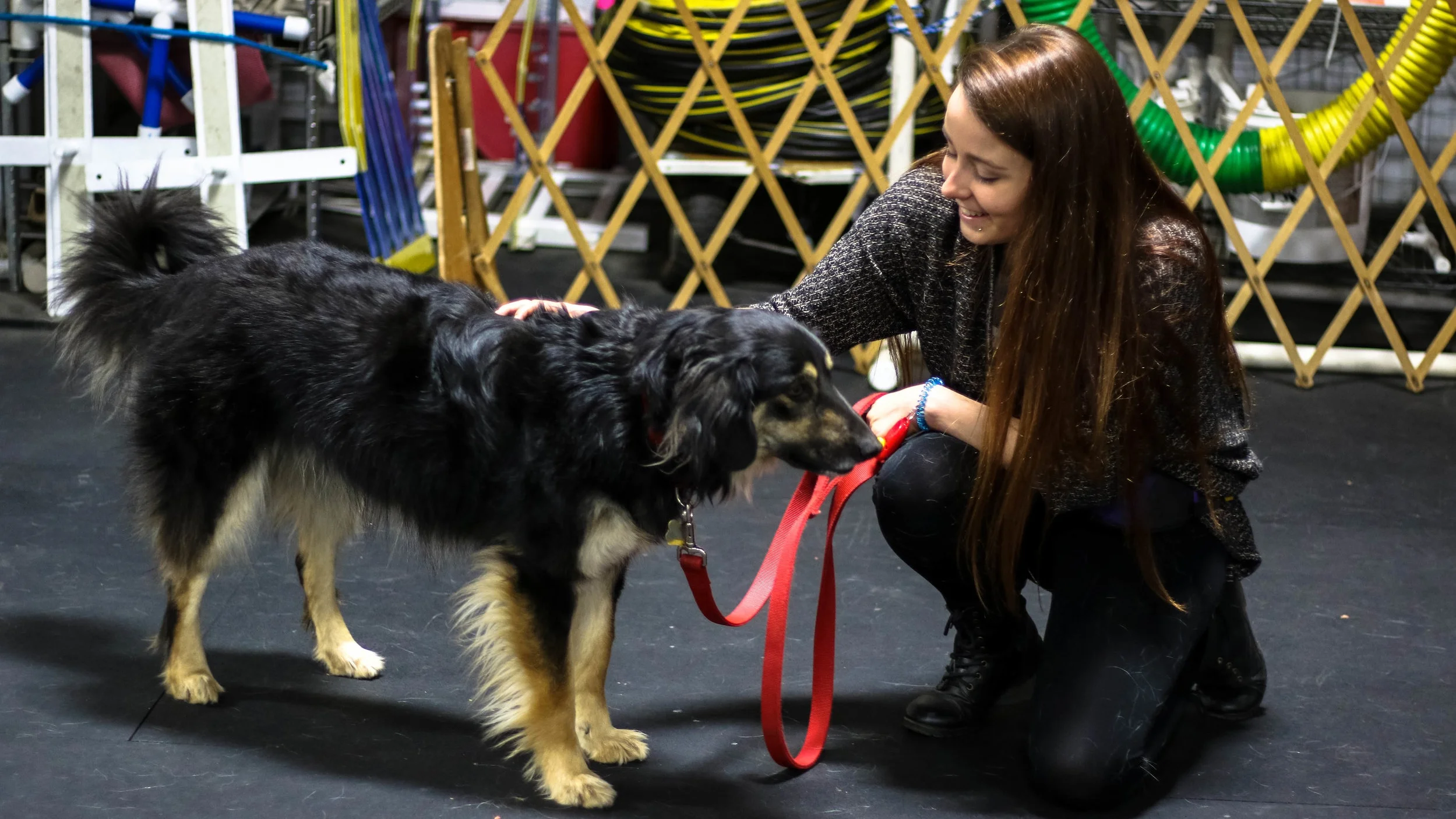 Dog Training Client Testimonials — Polite Pooches Positive Dog Training