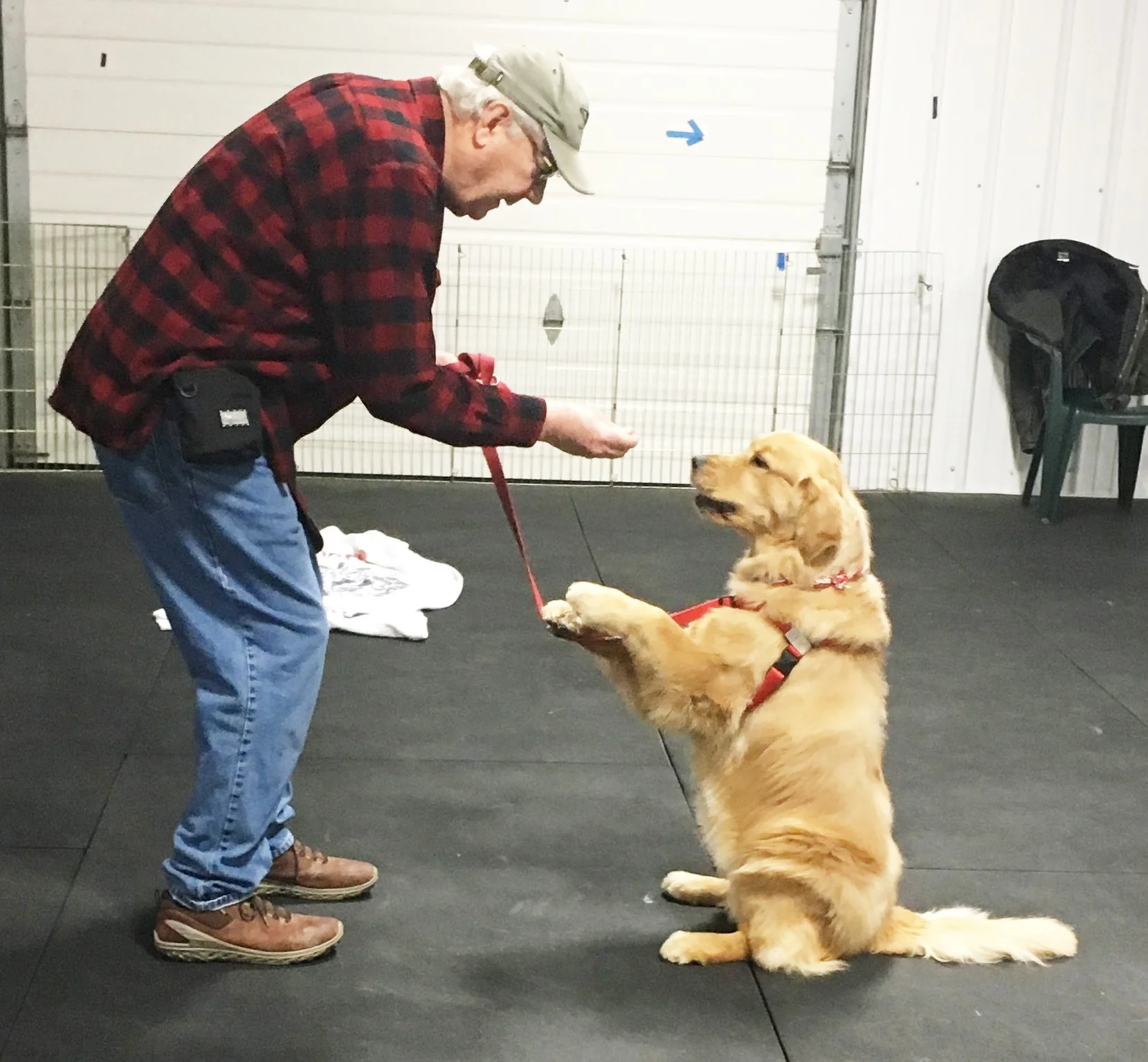 Pictures of Polite Pooches Clients and Their Dogs — Polite Pooches ...