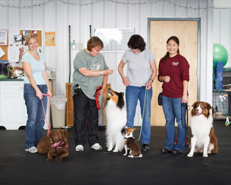 Puppy & Dog Training Services — Polite Pooches Positive Dog Training