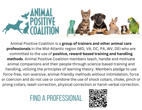 Polite Pooches Positive Dog Training