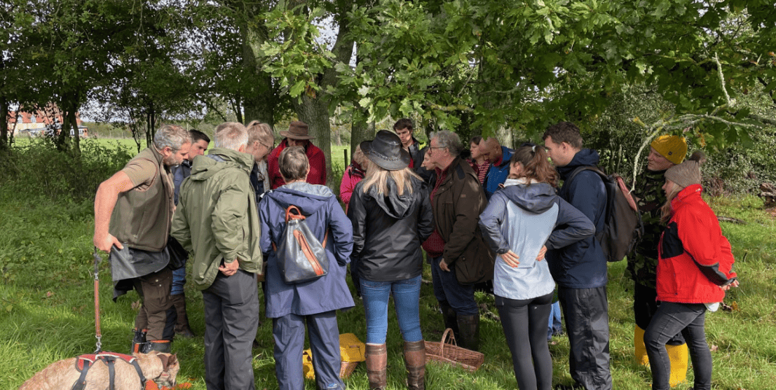 New Forest Spring Foraging and Fungi with Experience Hampshire — The ...