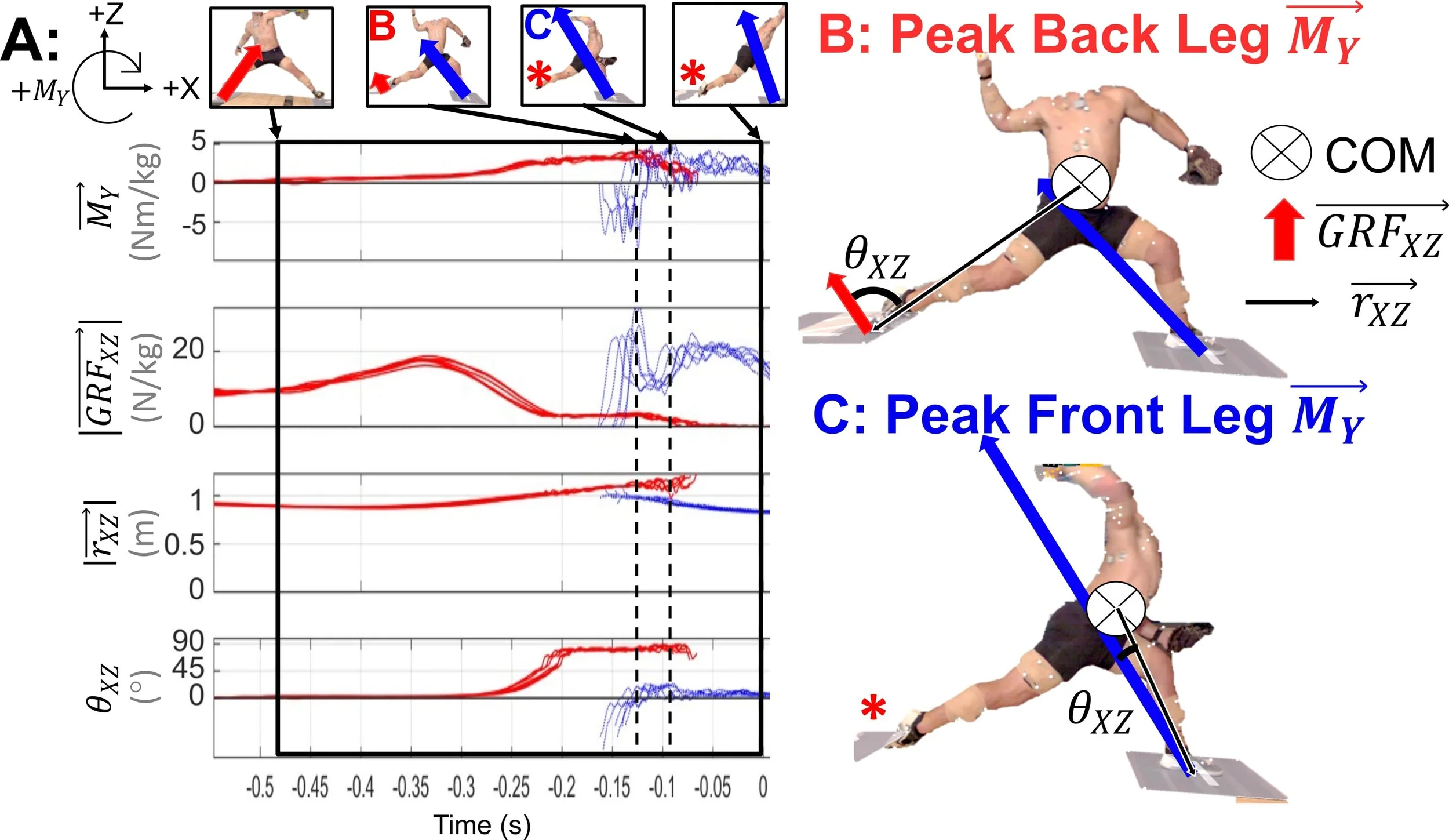 Sports & Orthopaedics — Musculoskeletal Control and Dynamics Lab