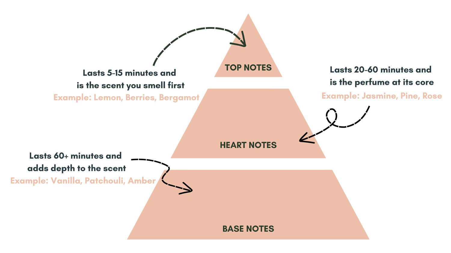 Start Your Perfume Era Right: A Beginner’s Guide to Scent — Sabrina Endsley