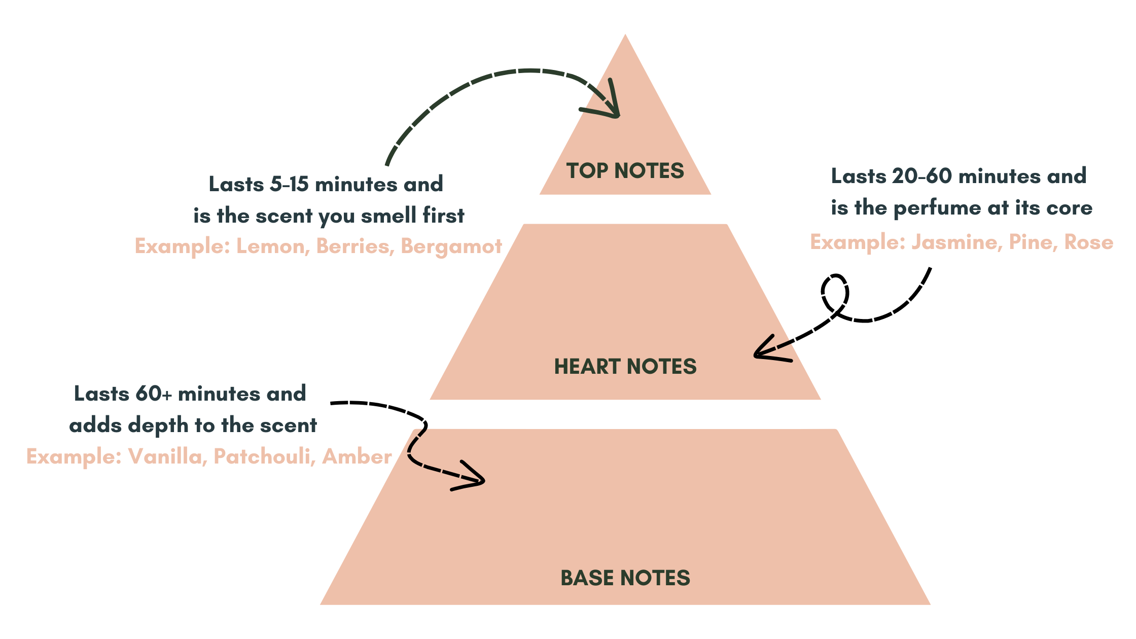 Start Your Perfume Era Right: A Beginner’s Guide to Scent — Sabrina Endsley