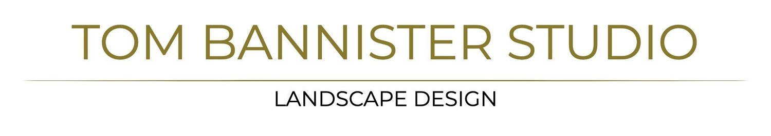 TOM BANNISTER STUDIO