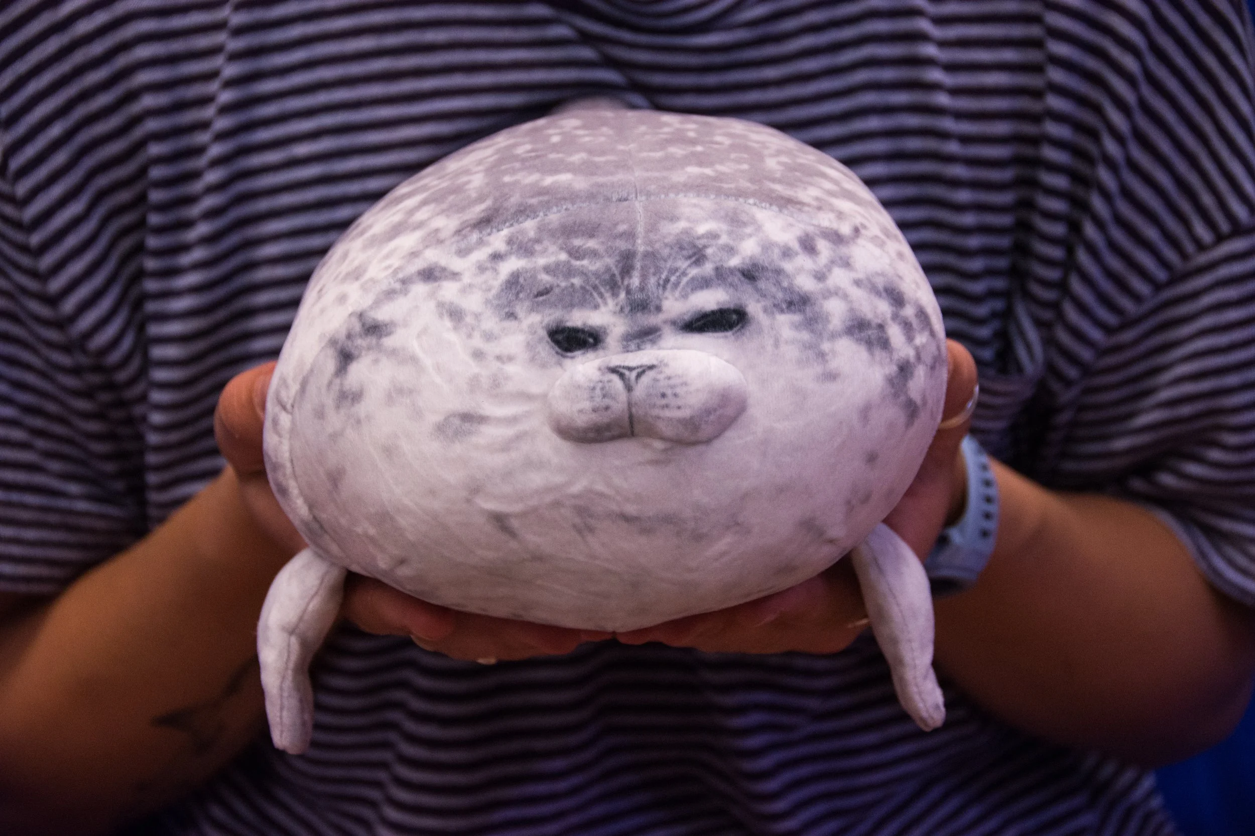 Ocean First Institute