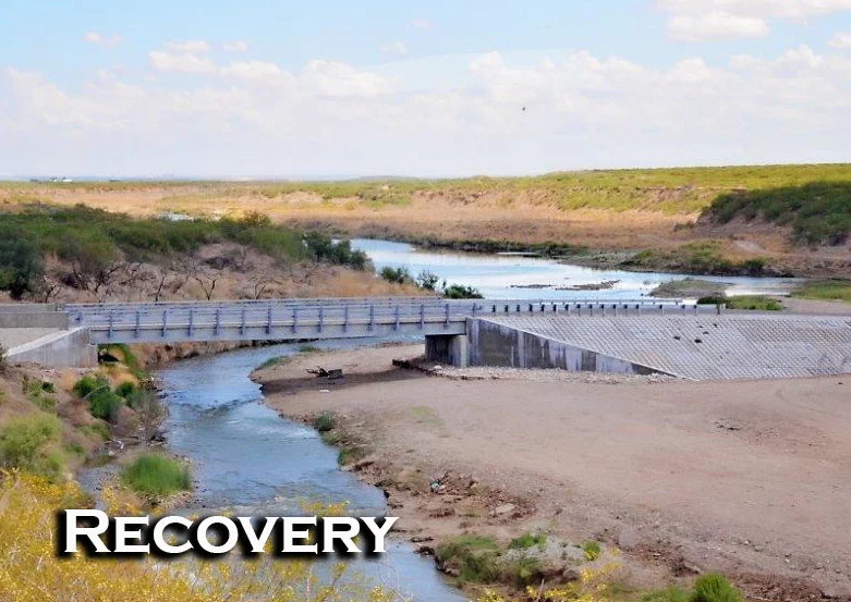 Project Management for Construction, Engineering & Disaster Recovery