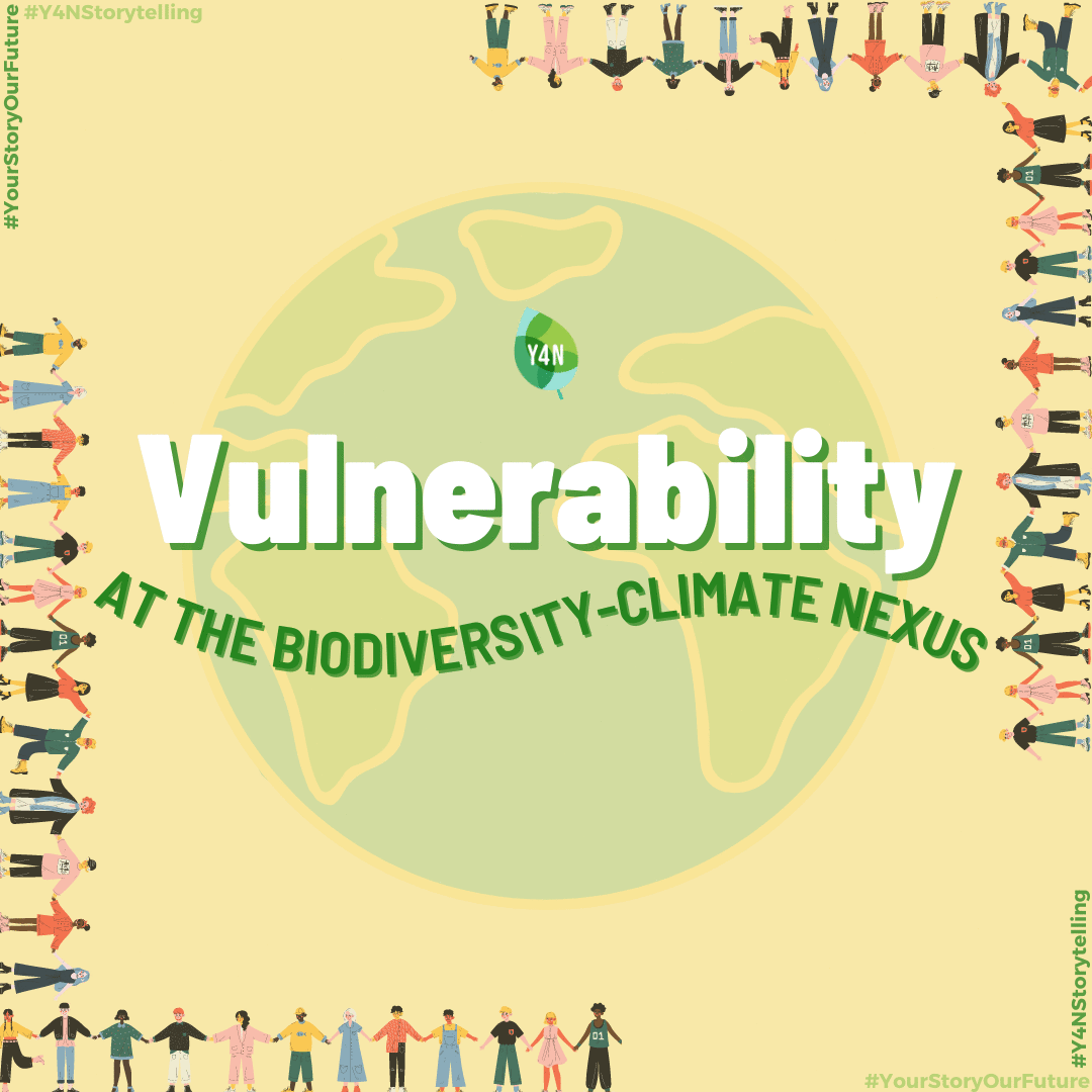 NEW Special Call for Stories: Vulnerability, Loss & Resilience ...