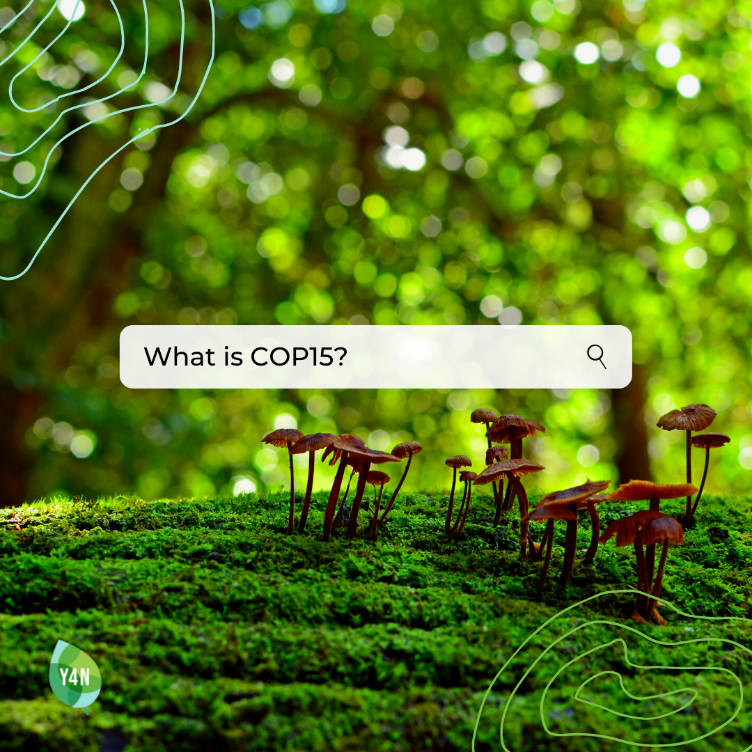 CBD, COP15… What it’s all about & how to get engaged — Youth4Nature