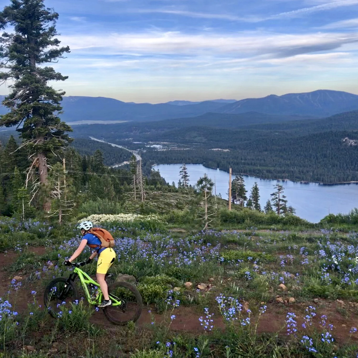 Projects — Truckee Donner Land Trust