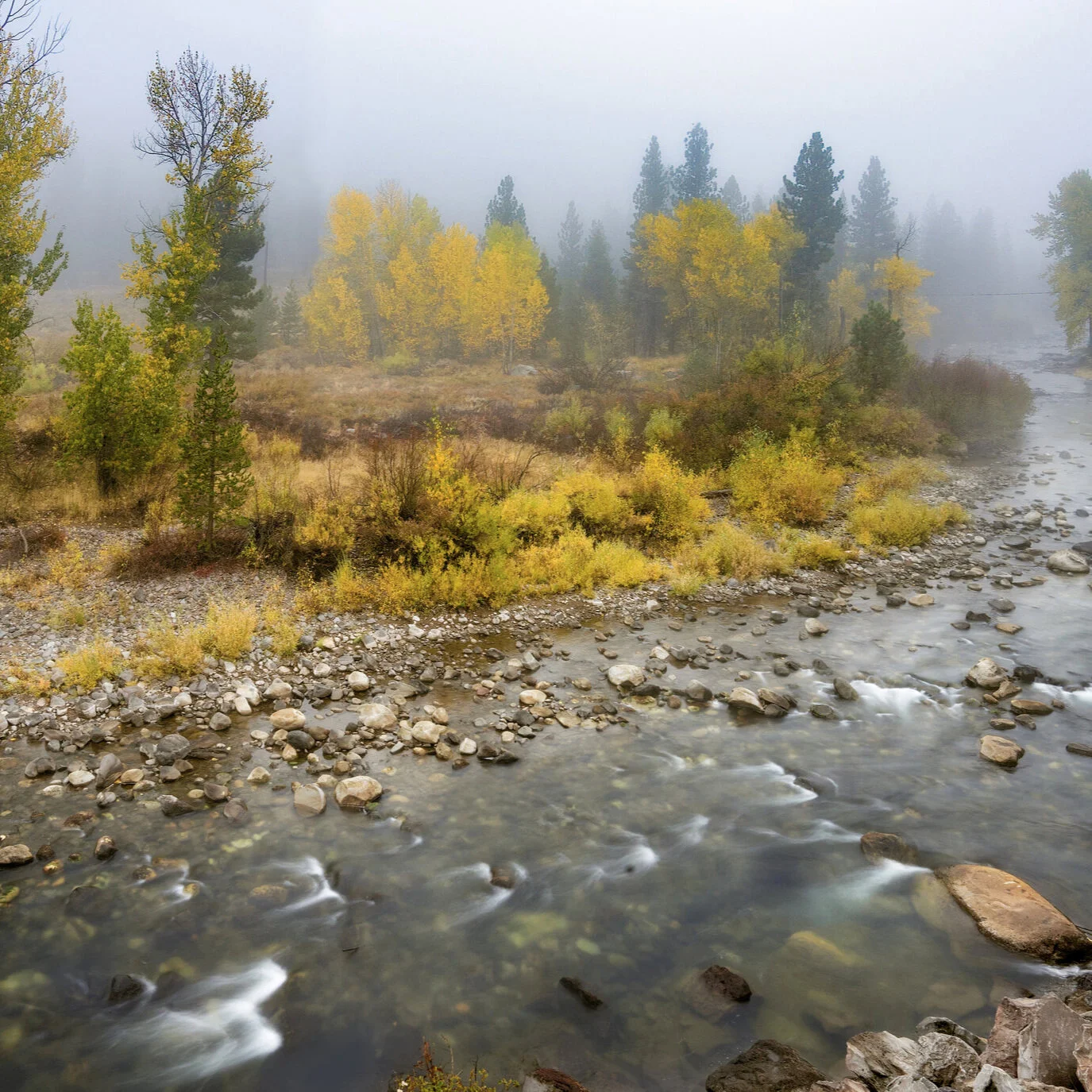 Projects — Truckee Donner Land Trust