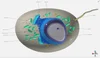 Cell Explorer — SCoPE