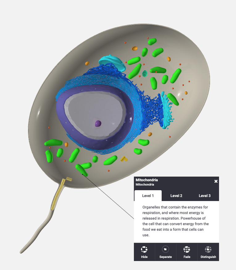 Cell Explorer — SCoPE