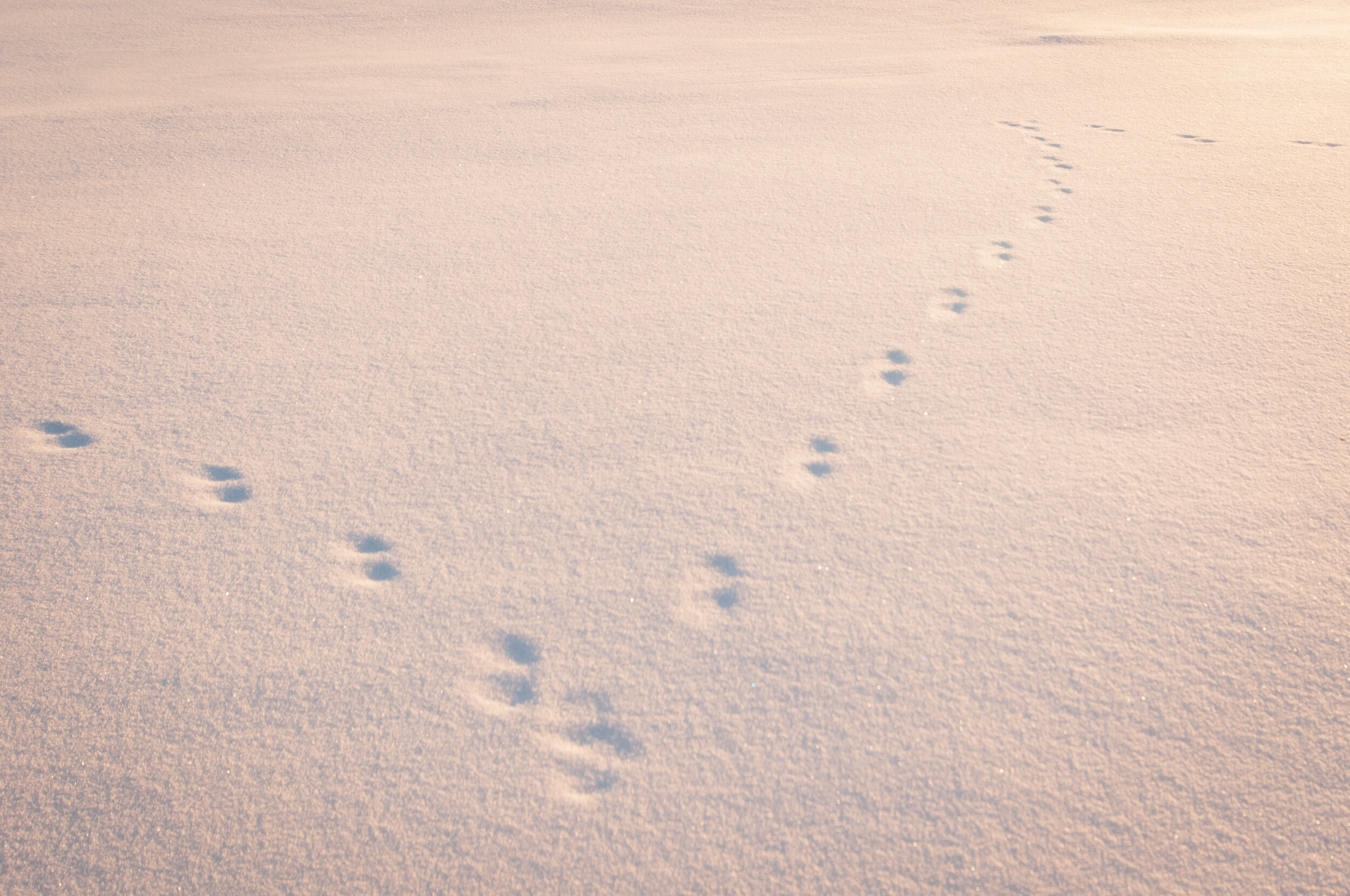 Outside the Box — Doug Johnson Photography Workshops