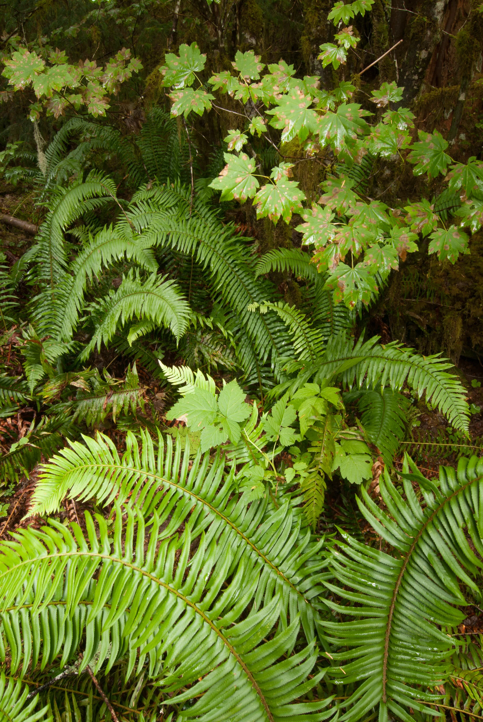 Dispatches — Doug Johnson Photography Workshops