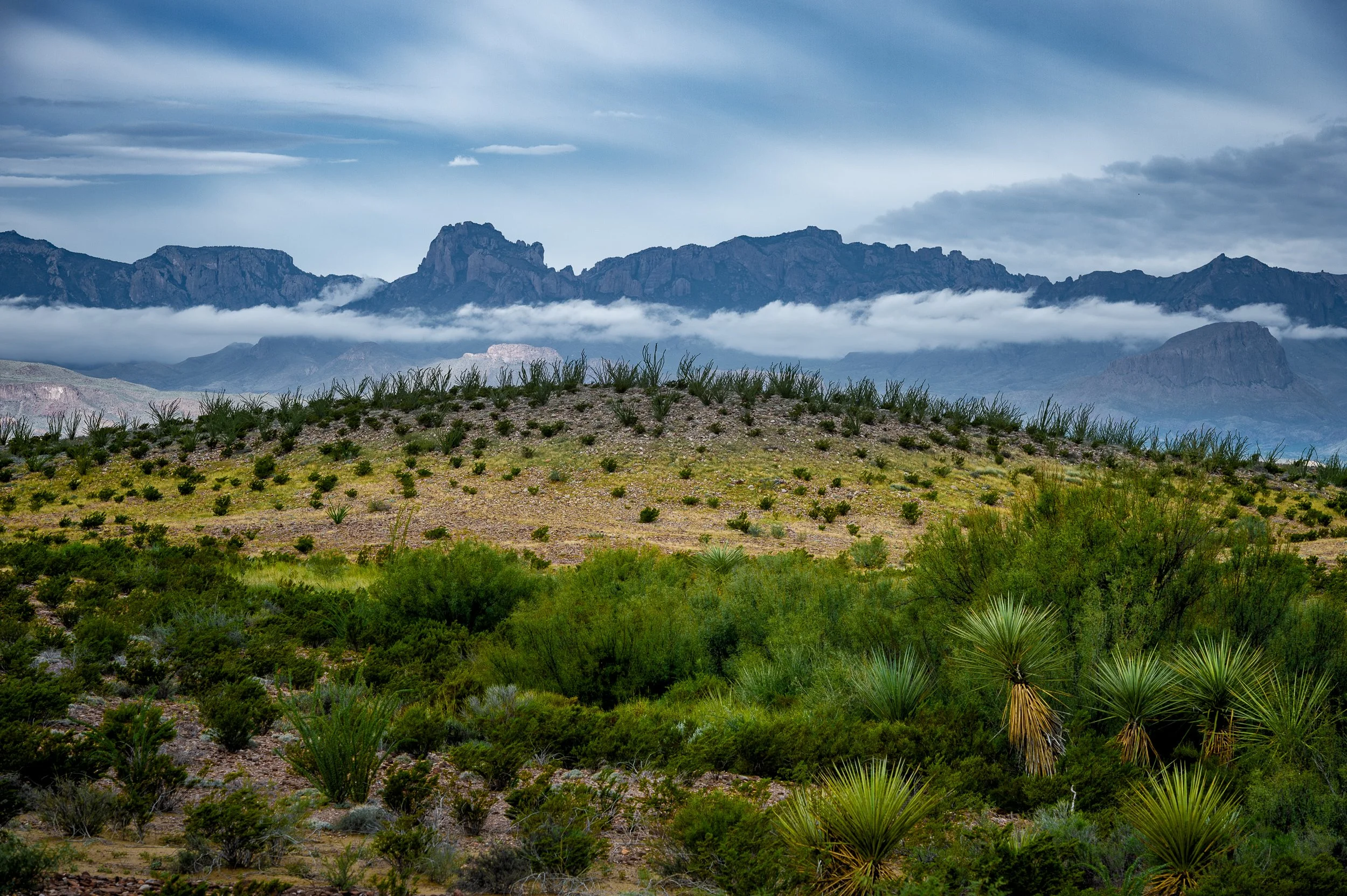 Doug Johnson Photography Workshops