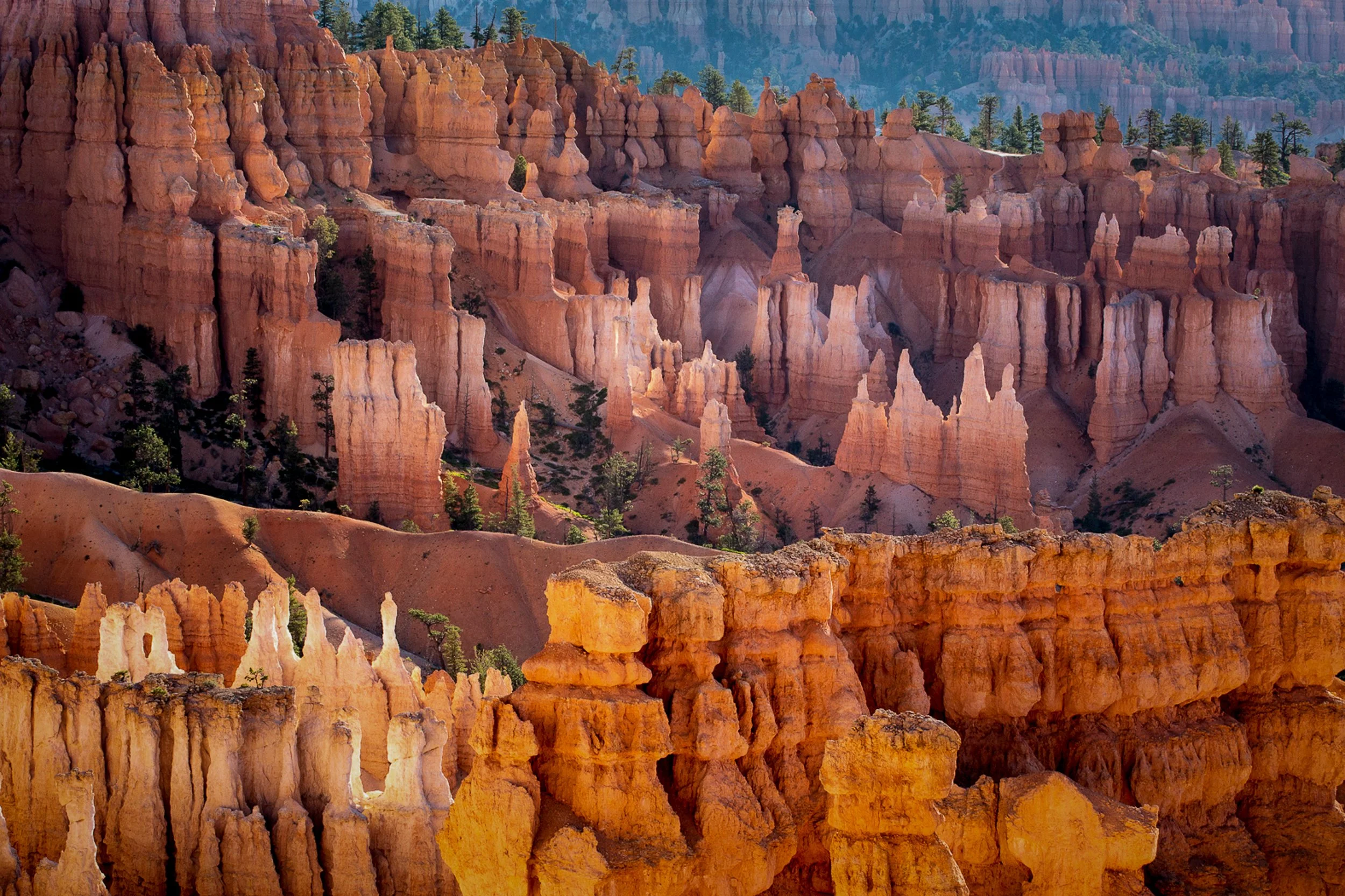 Doug Johnson Photography Workshops