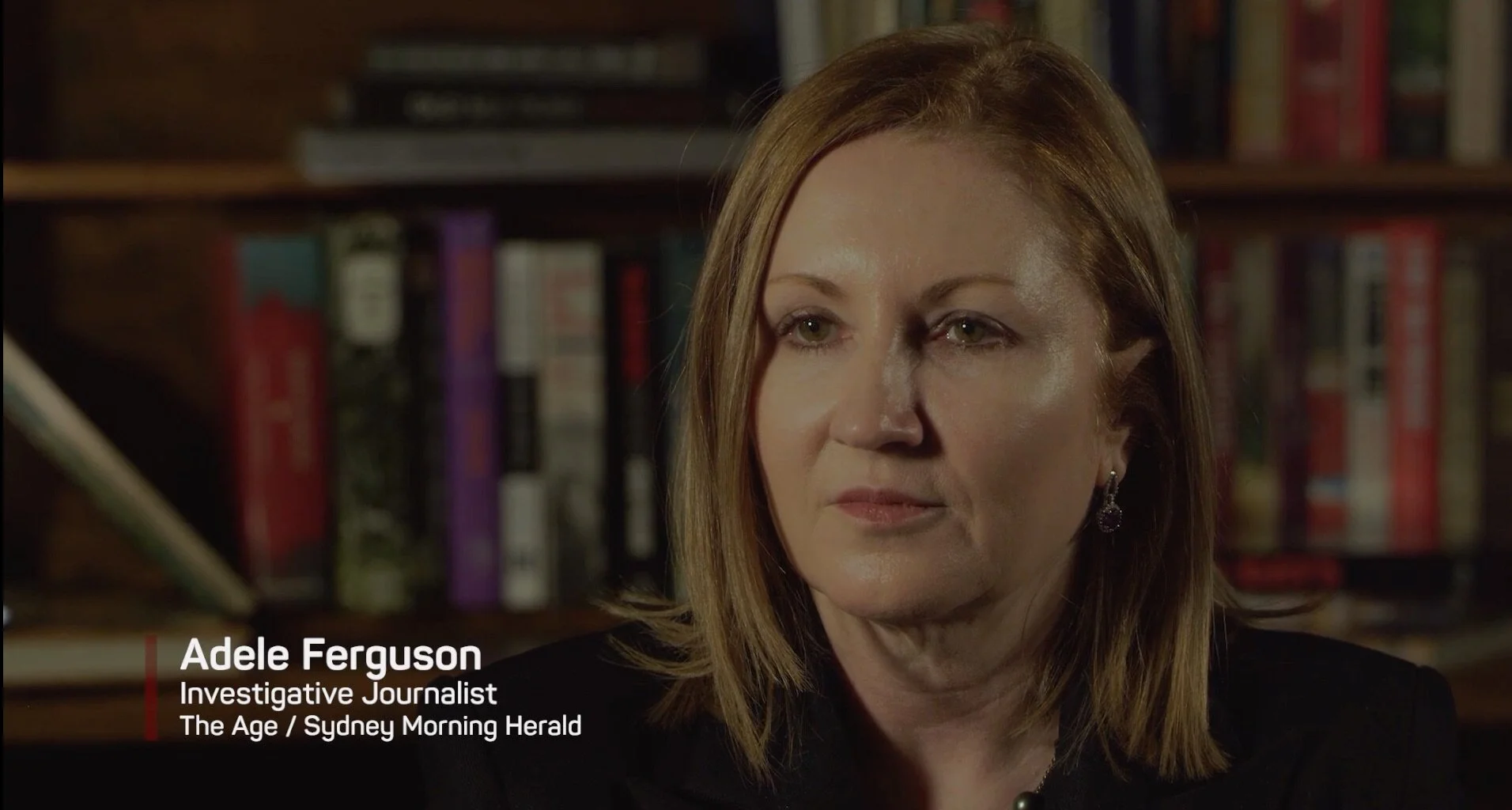 Democracy's Watchdogs