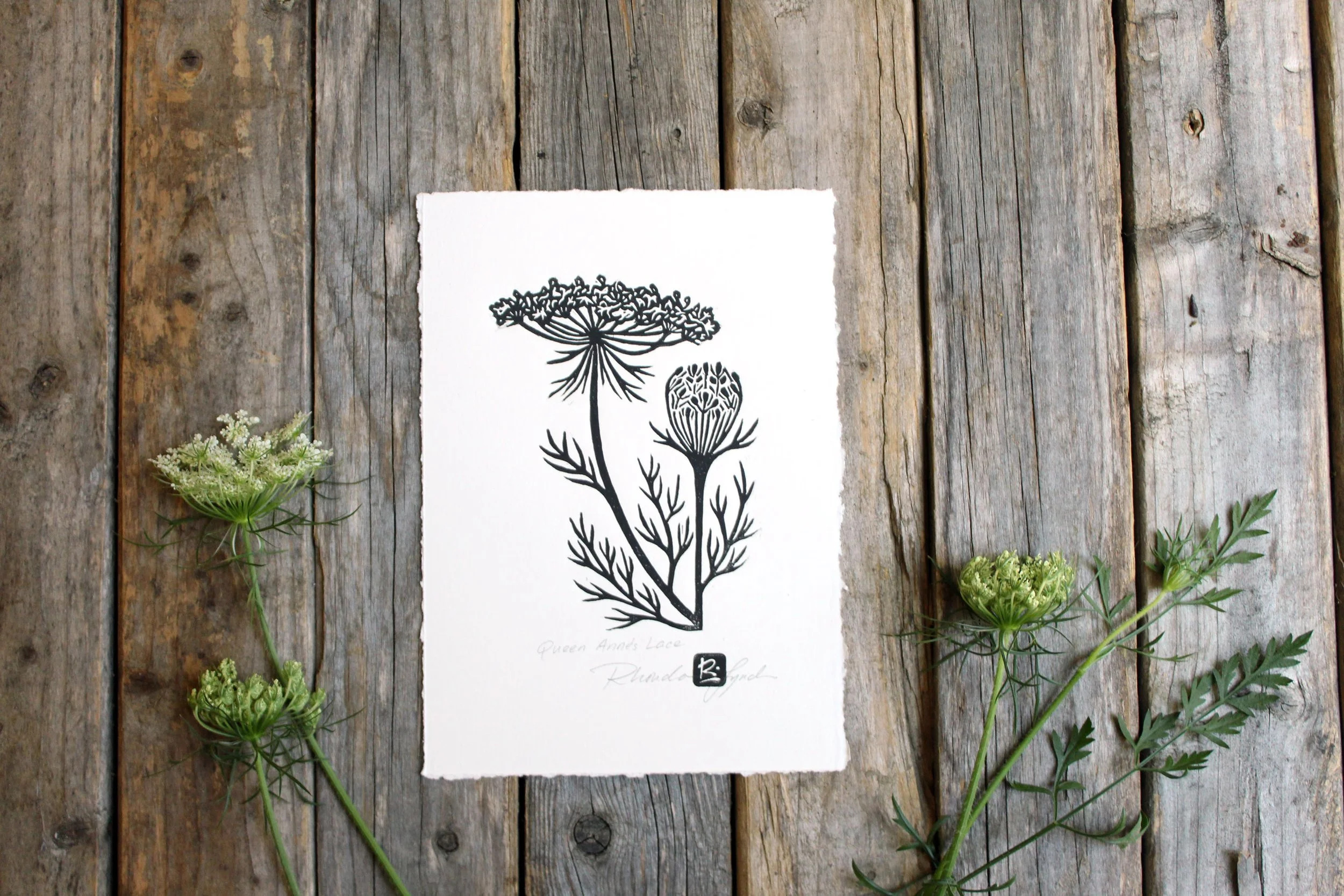 Queen Anne's Lace Linocut Print — Lynch Family Farm & Craft