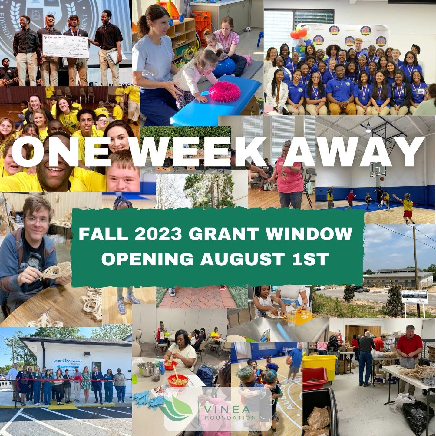 About Vinea Foundation — Vinea Capital