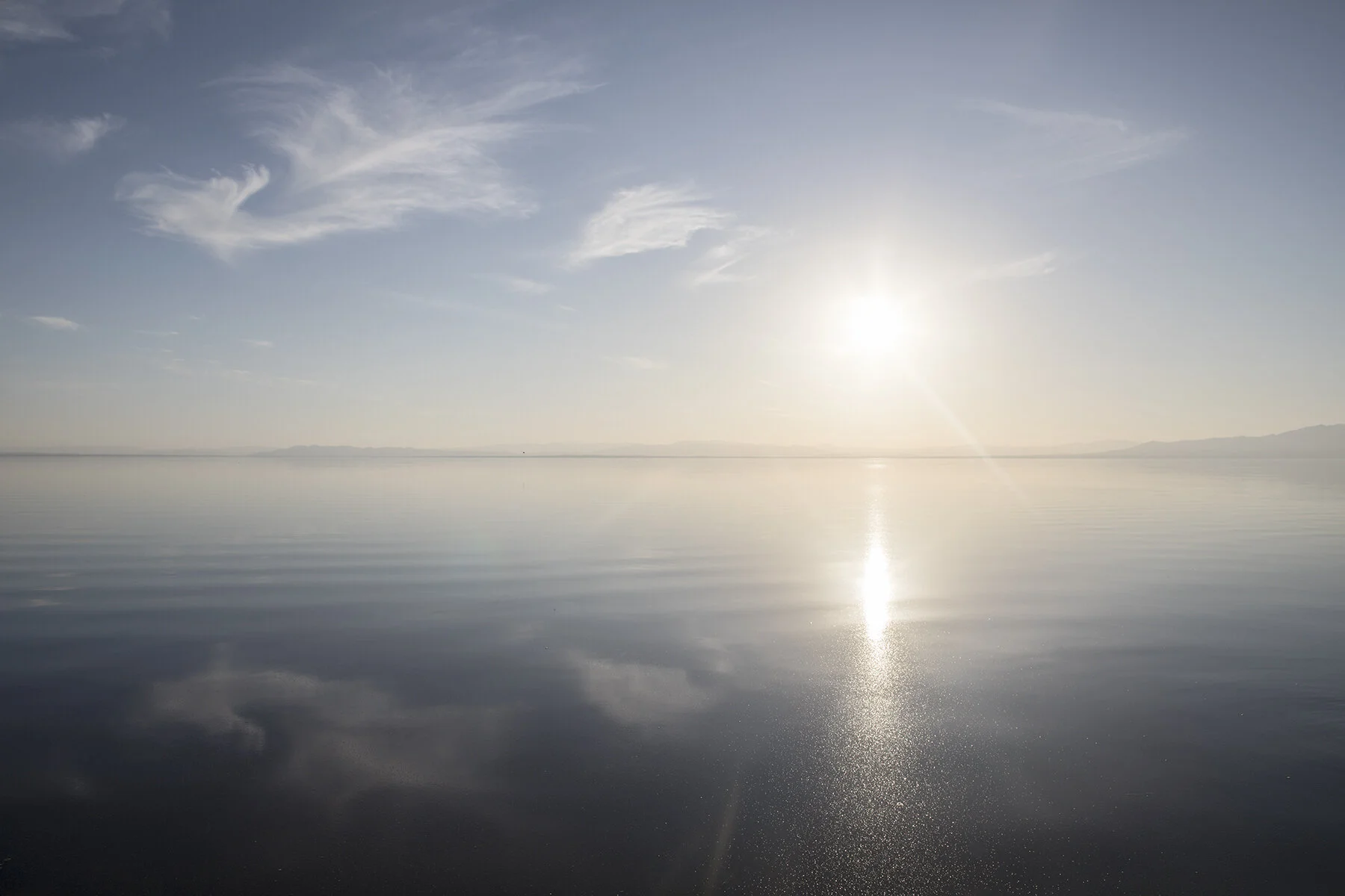 Subtle Light Digital