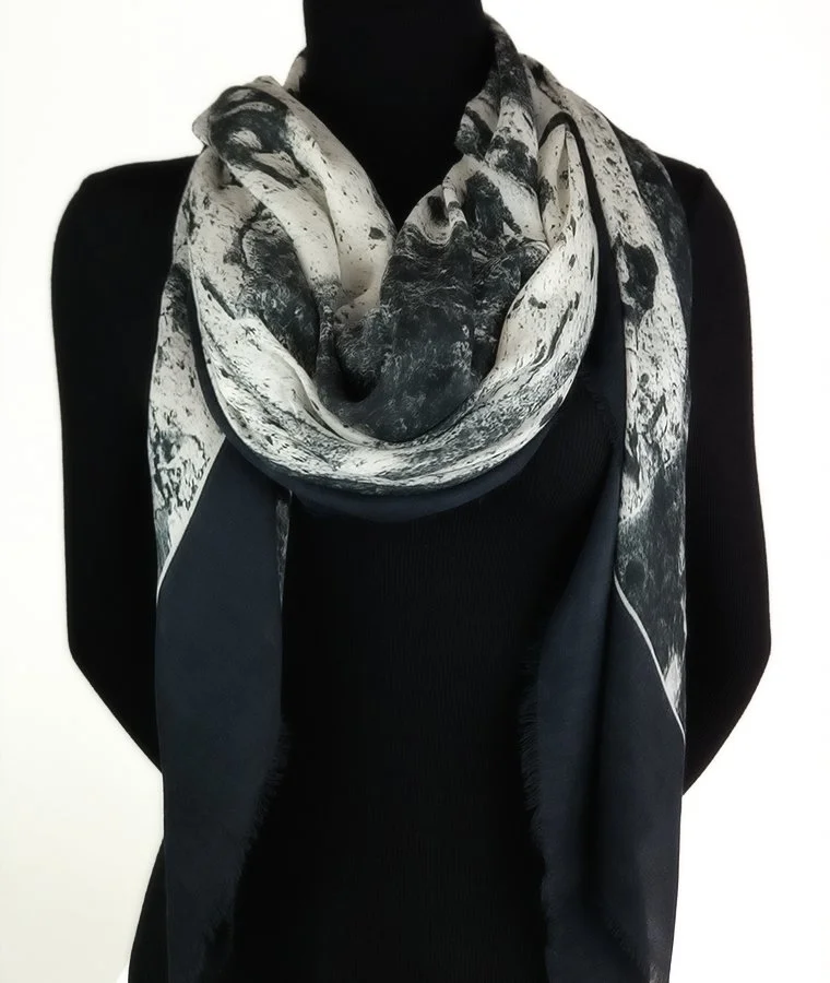 Fossils - Israel (Mediterranean Coast) - FALL 2024 - NOW AVAILABLE — Lolili